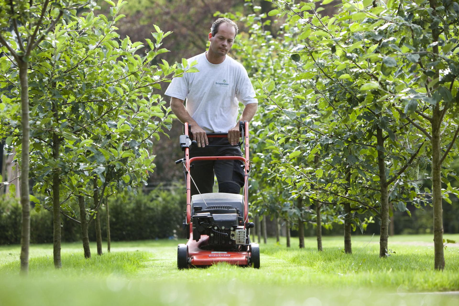 bruggeman-hoveniers-tuinonderhoud-gras-maaien-1